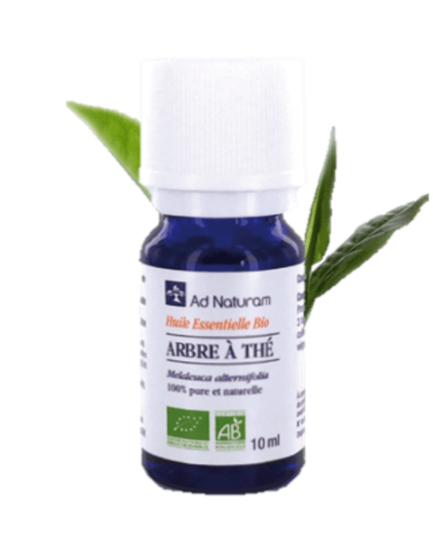 Arbre à thé (Tea tree) - Huile essentielle - Biophare